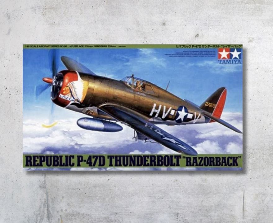 Tamiya Republic P-47D Thunderbolt "Razorback" 1/48 Canopy & Wheel Pain ...